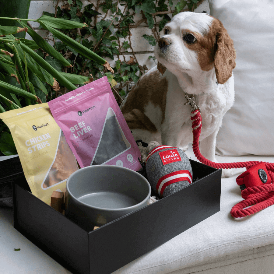 Doggy's Essentials – Two Streets Over