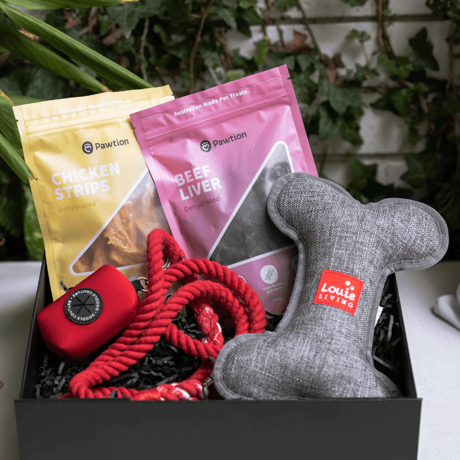 Who Let The Dog Out – Two Streets Over