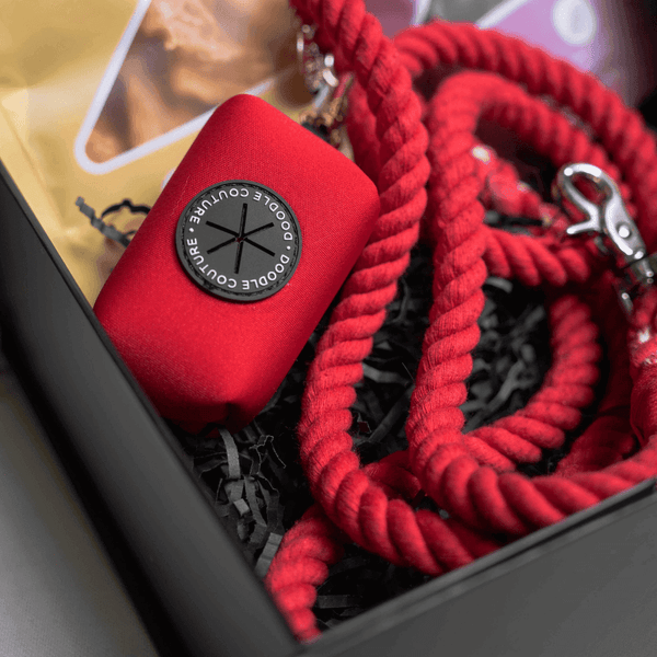 GIFTS FOR PETS – Two Streets Over